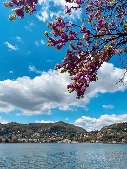 Discover Lake Como & Bellagio with a local - Authenticity and Value