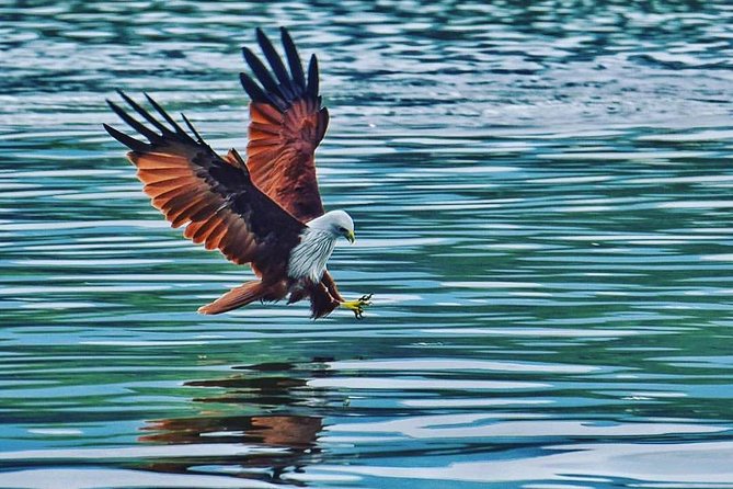 Discover Langkawi Like a local - Private Island Tour - Deep Dive into the Itinerary