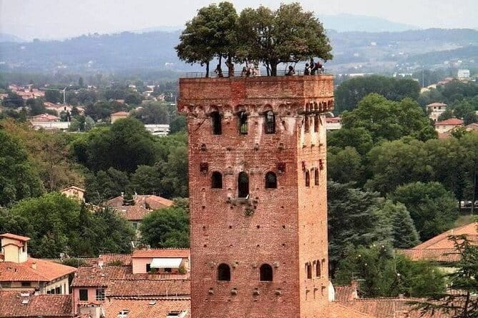 Discover Lucca and Pisa and Enjoy Buccellato Cake: Full Day Tour - FAQ