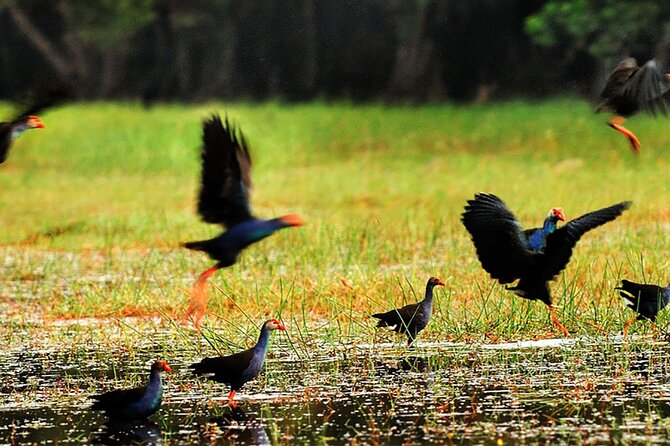 Discover Lung Ngoc Hoang Nature Reserve - FAQ