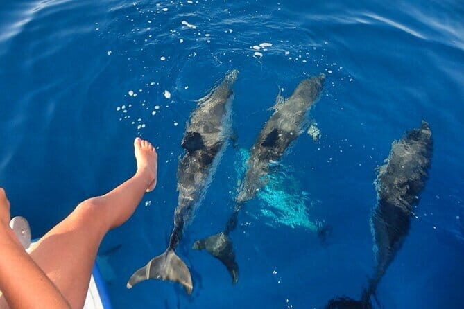 Discover Maafushi in 4 Nights 5 Days (Tour A) - Day 5: Departure