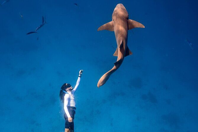 Discover Maafushi in 4 Nights 5 Days (Tour B) - An Honest Look at the Experience