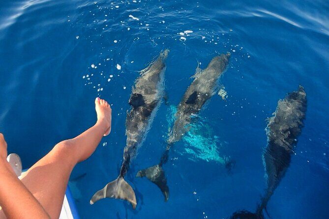 Discover Maafushi in 4 Nights 5 Days (Tour B) - Final Thoughts