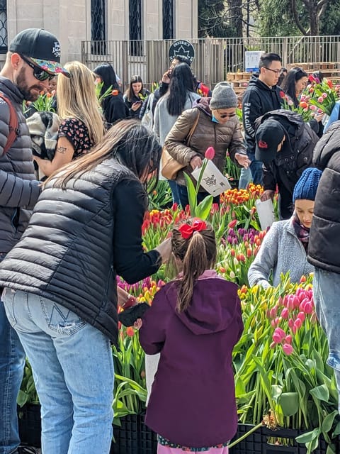 Discover Manhattan's Hidden Gems - Who Will Love This Tour?