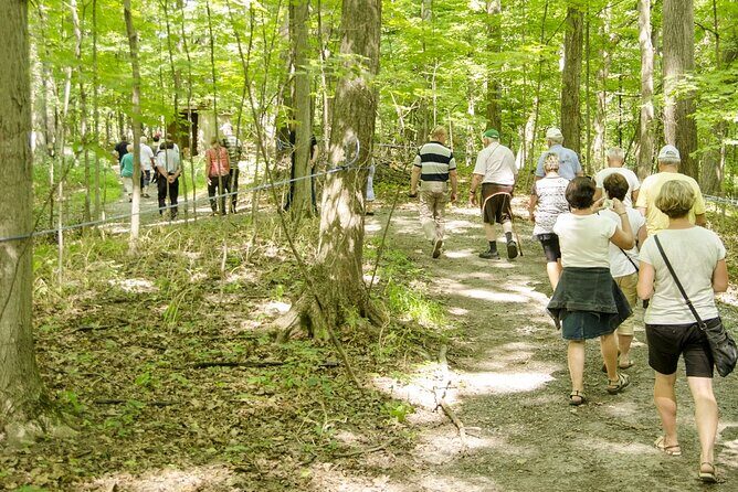Discover Maple Sugar Bush Tour - Final Thoughts
