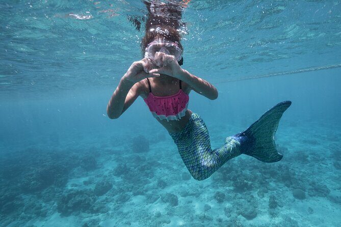 Discover Mermaid - Why This Tour Stands Out