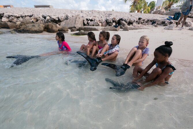 Discover Mermaid - Who Will Love This Experience?