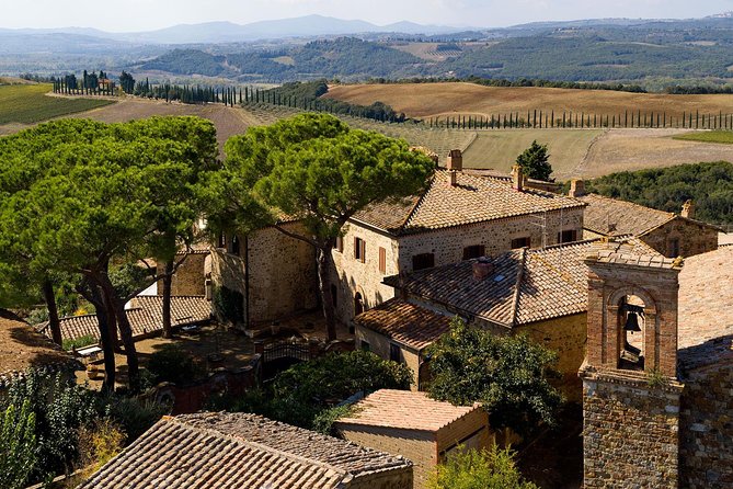 Discover Montalcino through its best productions: Brunello & Saffron!! - Authenticity and Quality