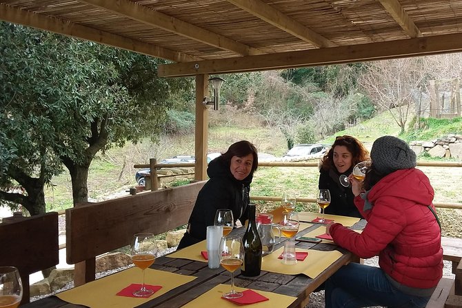 Discover Montalcino through its best productions: Brunello & Saffron!! - Final Thoughts