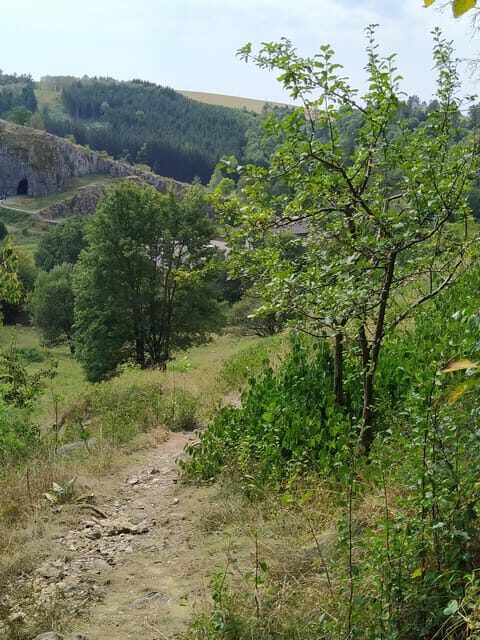 Discover Moravian Karst: Seven Stops, One Tailored Tour - An In-Depth Look at the Moravian Karst Tour Experience
