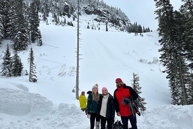 Discover Mt. Rainier – Private Full-Day Tour - Authentic Experiences Highlighted by Travelers