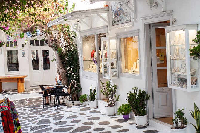 Discover Mykonos in 4 Hours Beaches Villages and Town - Itinerary and Activities