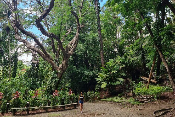 Discover Nadi Fiji Private Tour (All Fees Included) - A Closer Look at the Itinerary