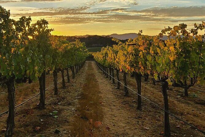 Discover Napa Valleys Hidden Gems with Local Sommelière - How This Tour Stands Out