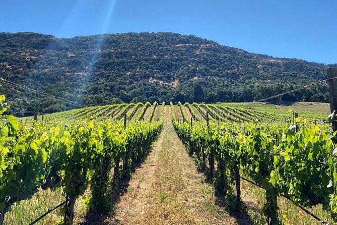 Discover Napa Valleys Hidden Gems with Local Sommelière - Why This Tour Offers Real Value