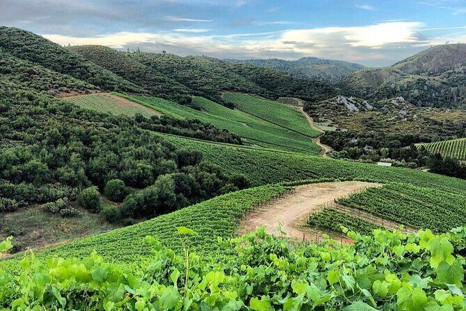 Discover Napa Valleys Hidden Gems with Local Sommelière - Final Thoughts