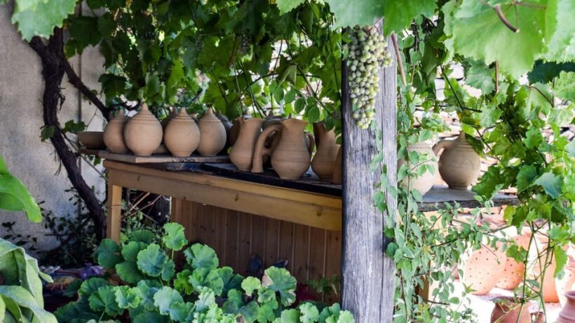Discover Naxos in a full day tour - Frequently Asked Questions