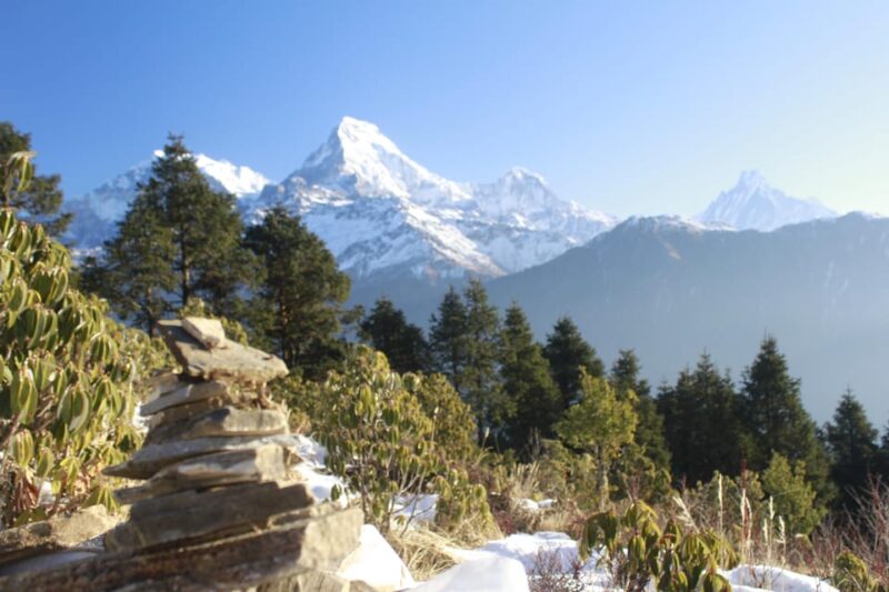 Discover Nepal: 12 Day Trekking and Wildlife Expedition - Final Thoughts