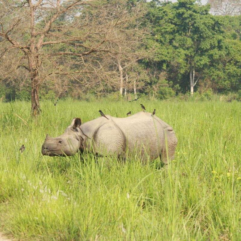 Discover Nepals Treasures: A 9-Day Private Tour - The Sum Up