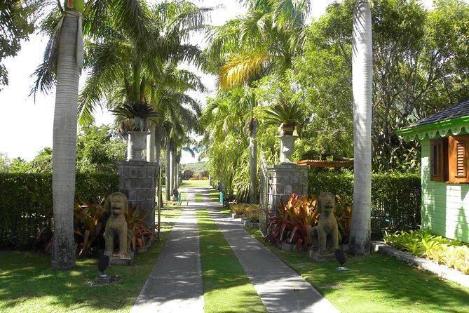 Discover Nevis, Island Tour (Private) - A Closer Look at the Itinerary