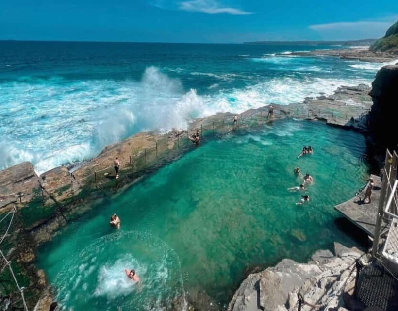 Discover Newcastle: Coastal Charms & City Secrets - mini van - The Itinerary: What to Expect
