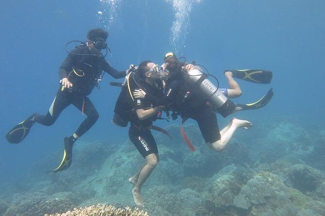 Discover Nha Trang Bay with Scuba Diving Tour - A Closer Look at the Tour Experience