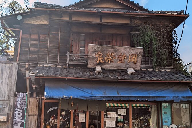 Discover Old Tokyo: Asakusa, Ueno & Yanaka - Health and Accessibility