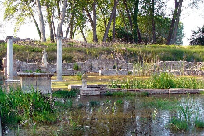 Discover Olympus & Dion: Private Day Trip From Thessaloniki - Accessibility and Additional Information