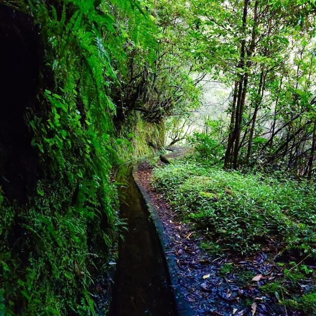 Discover one of our island's levadas in a relaxing way? - Authentic Landscapes and Hidden Waterfalls