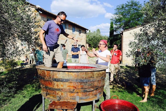 Discover Organic and Biodynamic Chianti Small Wineries - Key Points
