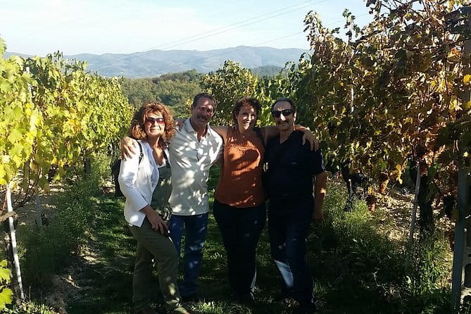 Discover Organic and Biodynamic Chianti Small Wineries - Practical Details & Tips