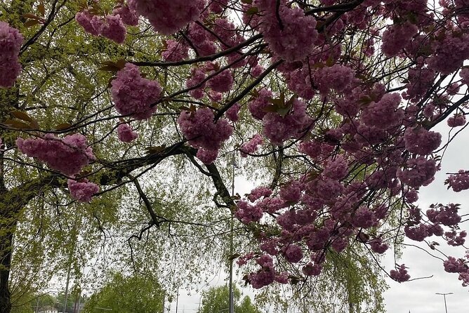 Discover Oslo on Foot - Accessibility and Inclusivity