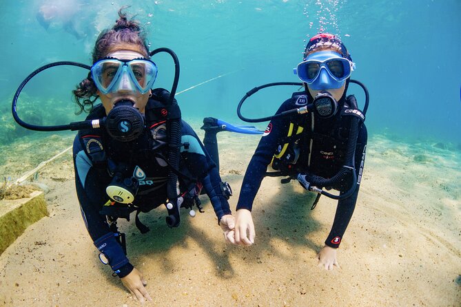 Discover PADI Diving in Barcelona - Recommendations for Beginner Divers