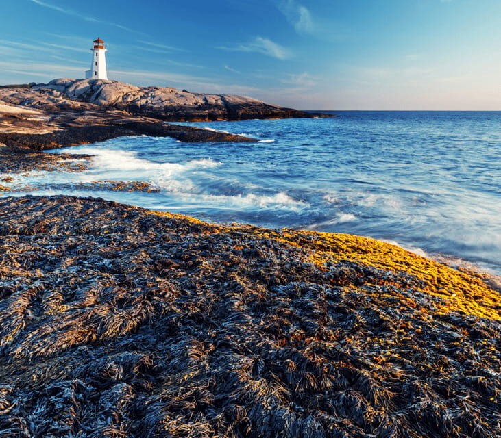 Discover Peggy's Cove: Private Journey from Halifax - Who Will Love This Tour?