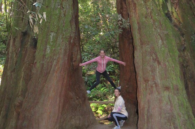 Discover Point Reyes National Seashore & Muir Woods Redwoods - Final Thoughts: Who Is This Tour For?