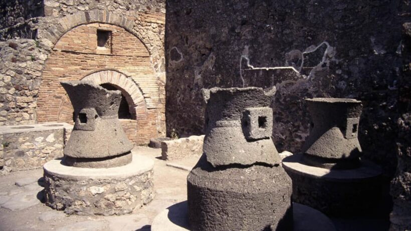 Discover Pompeii, Herculaneum and taste the wines of Vesuvius in a unique experience - Key Points