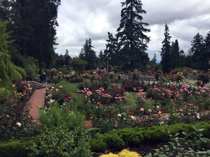 Discover Portland: Half-Day Small Group City Tour - Is It Worth the Price?