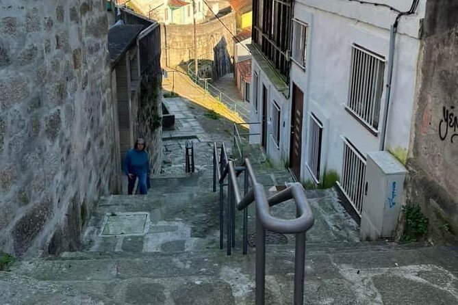 Discover Porto with an Official Guide: A Tour of Iconic Landmarks - Who Would Enjoy This Tour?