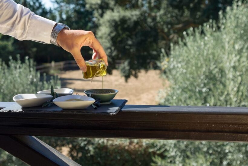 Discover Portugal's Flavors: Wine & Olive Oil Tasting - Exploring the Experience in Detail
