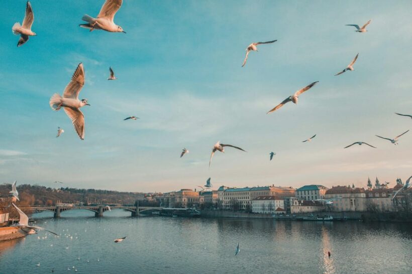 Discover Prague  4 Hours Tour Driving - What to Expect from the Itinerary