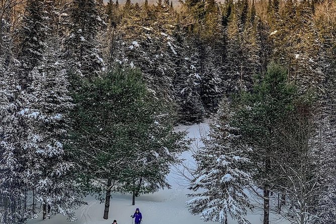 Discover Prague  4 Hours Tour Driving - How This Tour Works in Practice