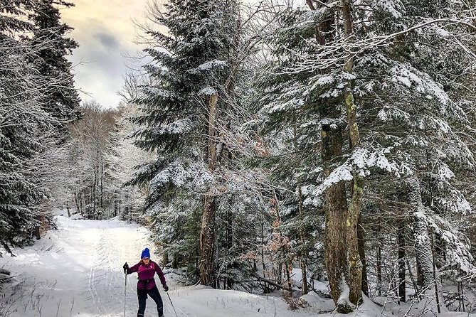 Discover Prague  4 Hours Tour Driving - Practical Details and Considerations