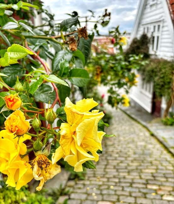 Discover Private+ Stavanger Guided City Tour - A Detailed Breakdown of the Itinerary