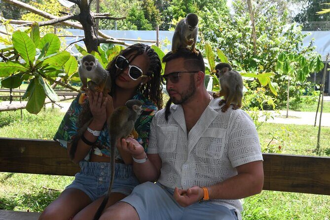 Discover Puerto Plata: City Tour and Monkey Jungle - Final Thoughts