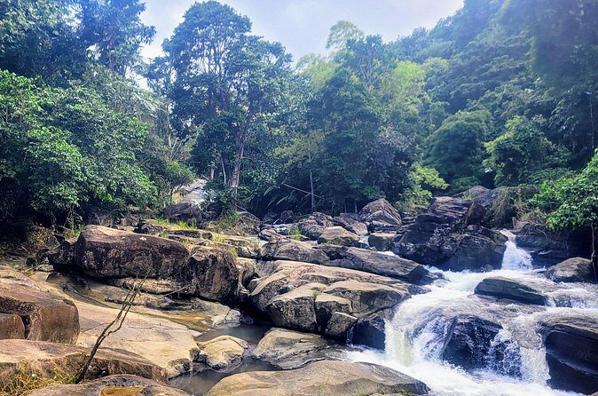 Discover Puerto Rico by 5 Different Thematic Routes - Transportation, Timing, and Practical Details