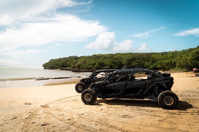 Discover Puerto Rico Like a Local 4 Hour Private Beach Escape - An In-Depth Look at the Tour Experience