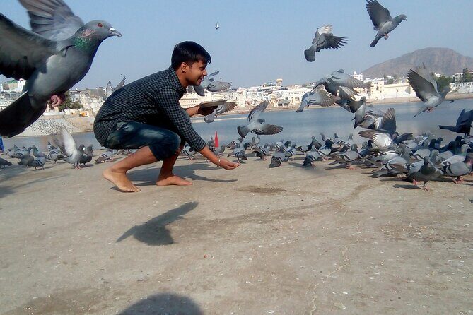 Discover Rajasthan: Jaipur, Pushkar, and Udaipur in 6 Days! - Who Should Consider This Tour?
