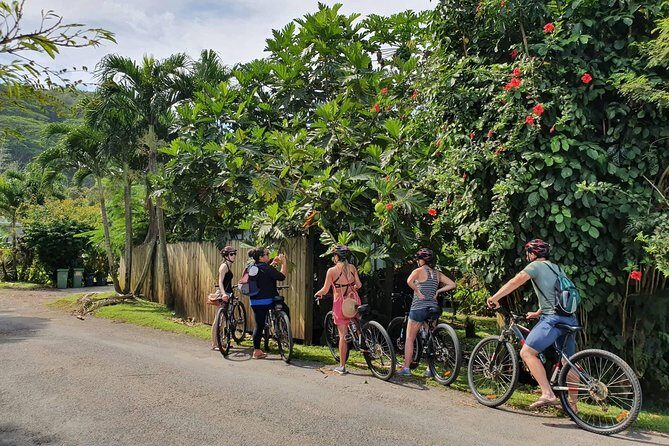 'Discover' Rarotonga Cycling Tour with Lunch - A Gentle Ride Through Rarotongas Heartland