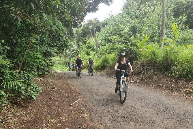 'Discover' Rarotonga Cycling Tour with Lunch - Scenic Stops and Cultural Experiences