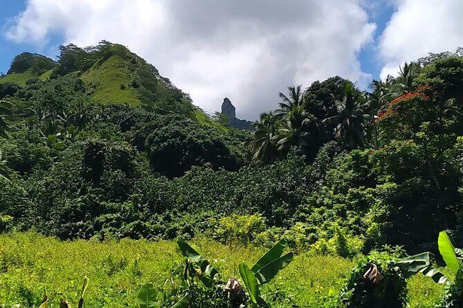 'Discover' Rarotonga Cycling Tour with Lunch - Who Is This Tour Best For?